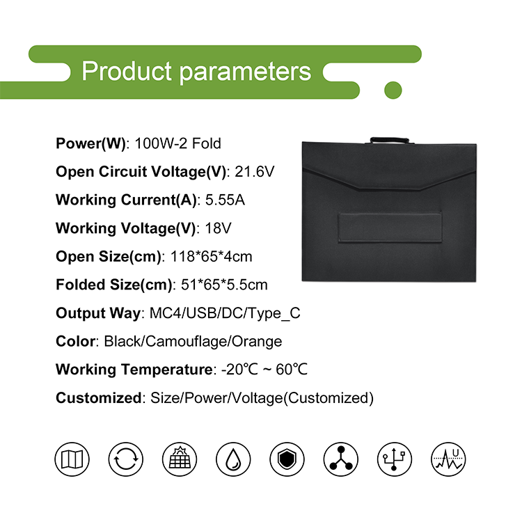 SolarLuxe: 100W Portable Solar Panel - Power Anywhere! – Raptor Home